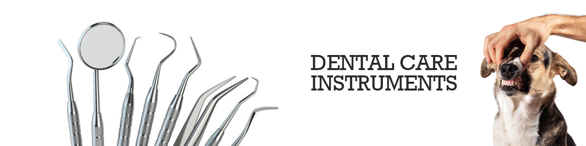 Reliable Dental Tools for Veterinary Use - Dr Tail