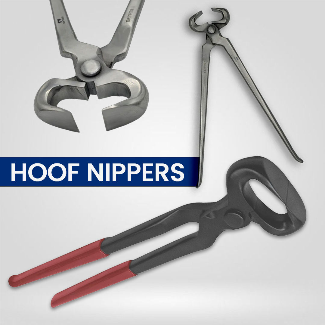 Best Hoof Nippers & Hoof Trimming Tools – Dr Tail