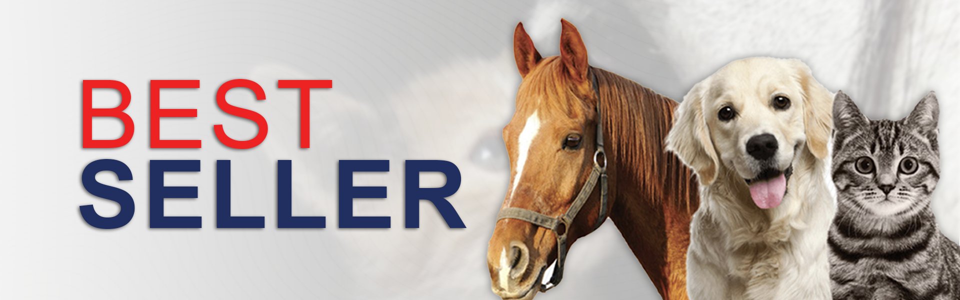 Best Sellers – Dr Tail