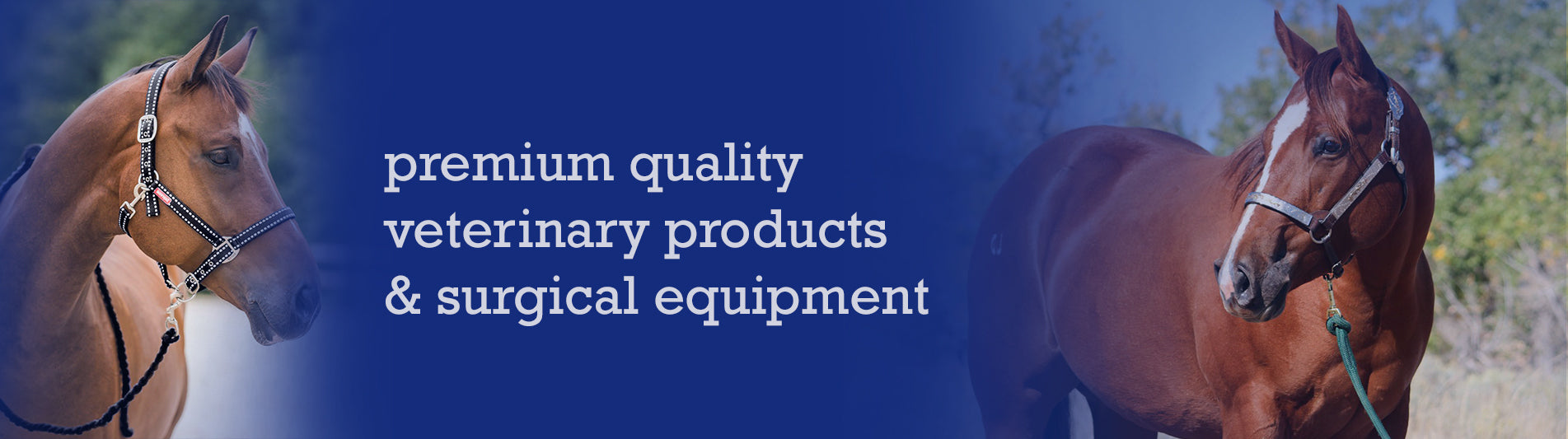 Buy Equestrian Surgical Instruments and Equipment Online USA – Dr.Tail