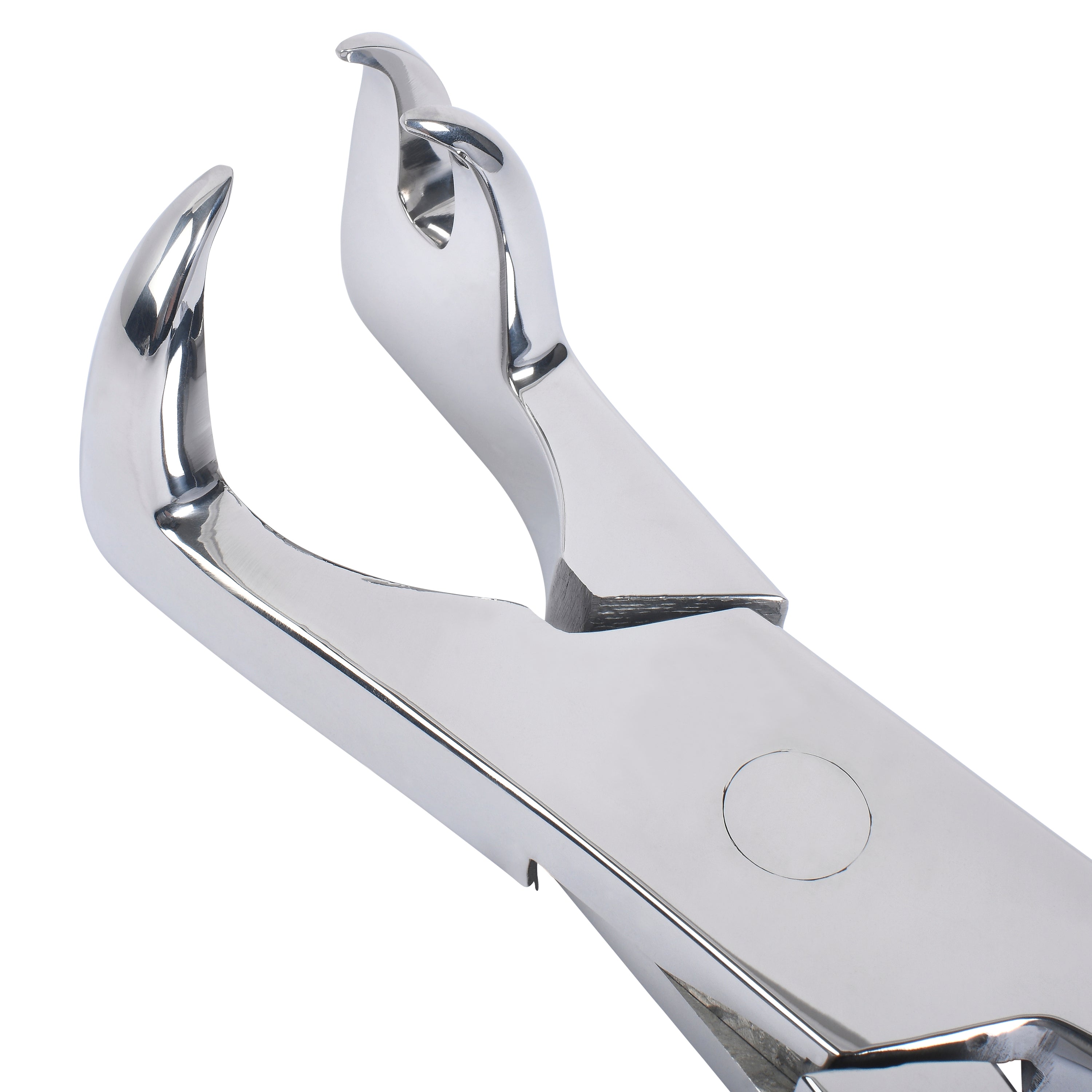 THREE PRONG ROOT MOLAR FORCEPS OFF SIDE 19"